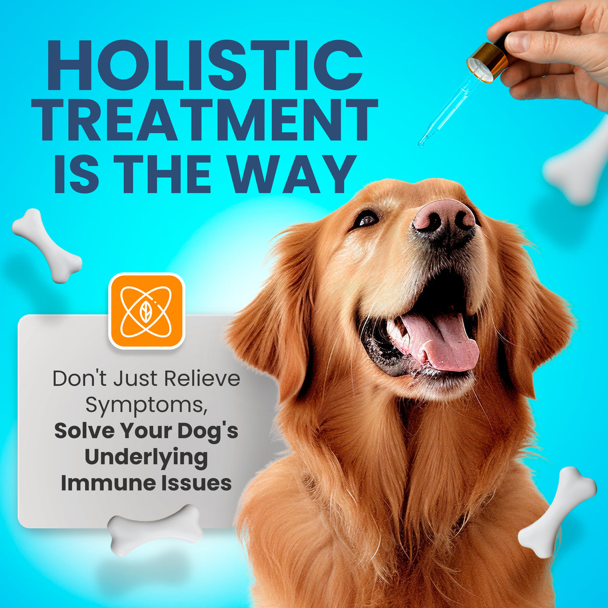 Handy Hound Natural Wellness For Dogs